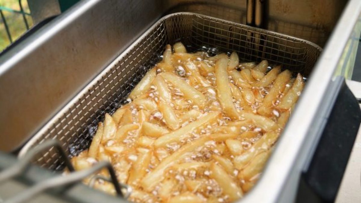 Biodegradable and ecological resin with recycled oil from McDonald's fryers