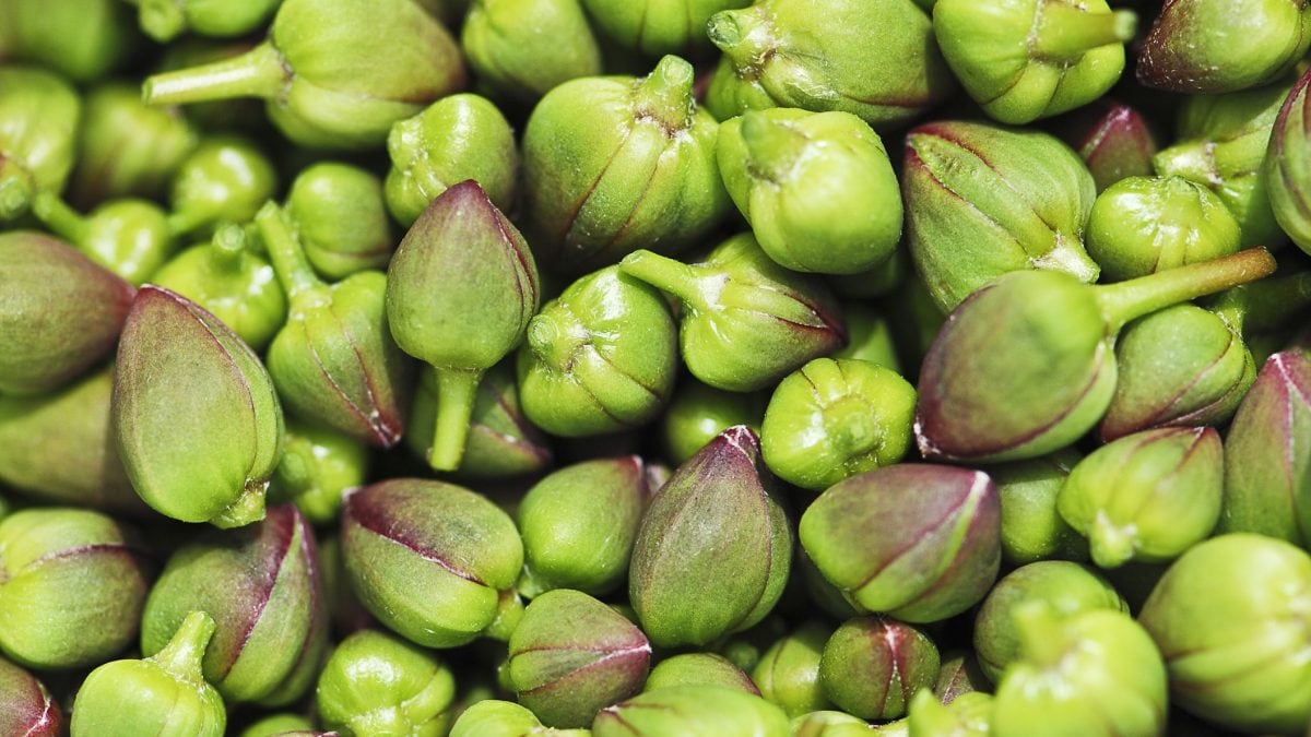 Here's Everything You Need To Know About Capers