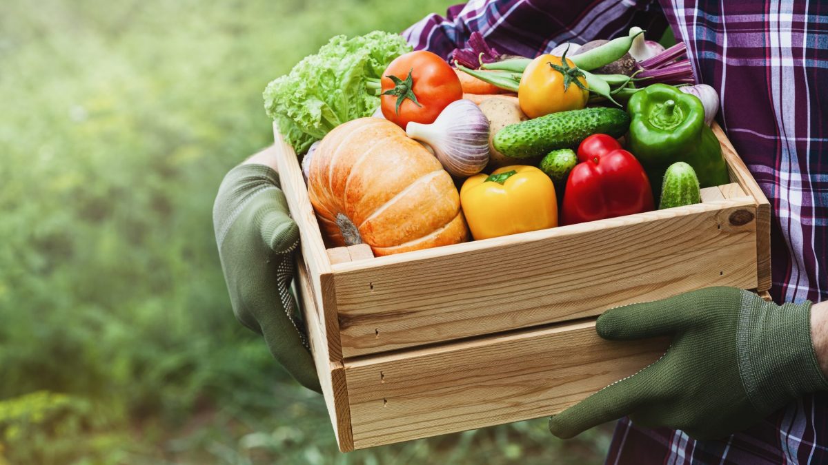 The Fresh Produce Subscription Box – What You Should Know