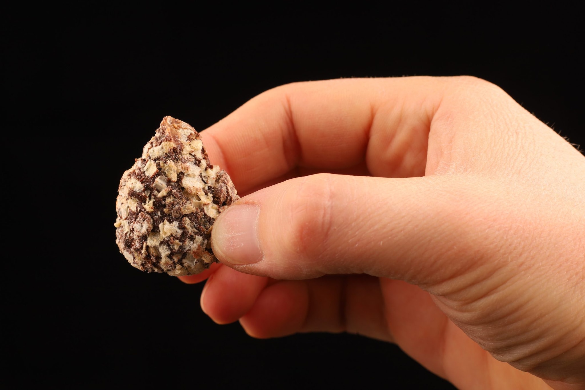 10 Strange Meals From Around The World — You Won't Believe These Are ...