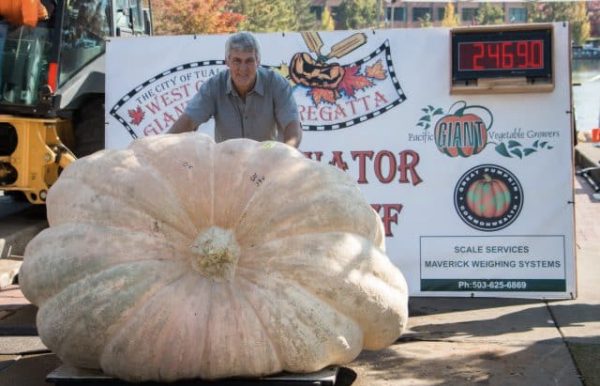 Here Are The Top 10 Biggest Pumpkins In The World Just In Time For ...