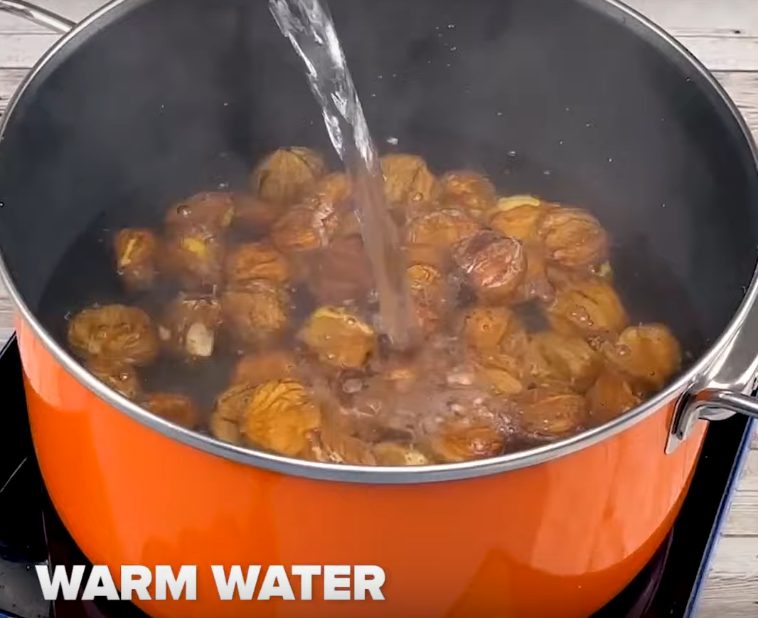 Chestnuts In Syrup Recipe