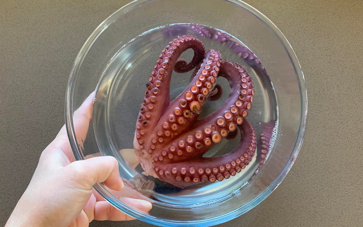 Octopus Salad Recipe