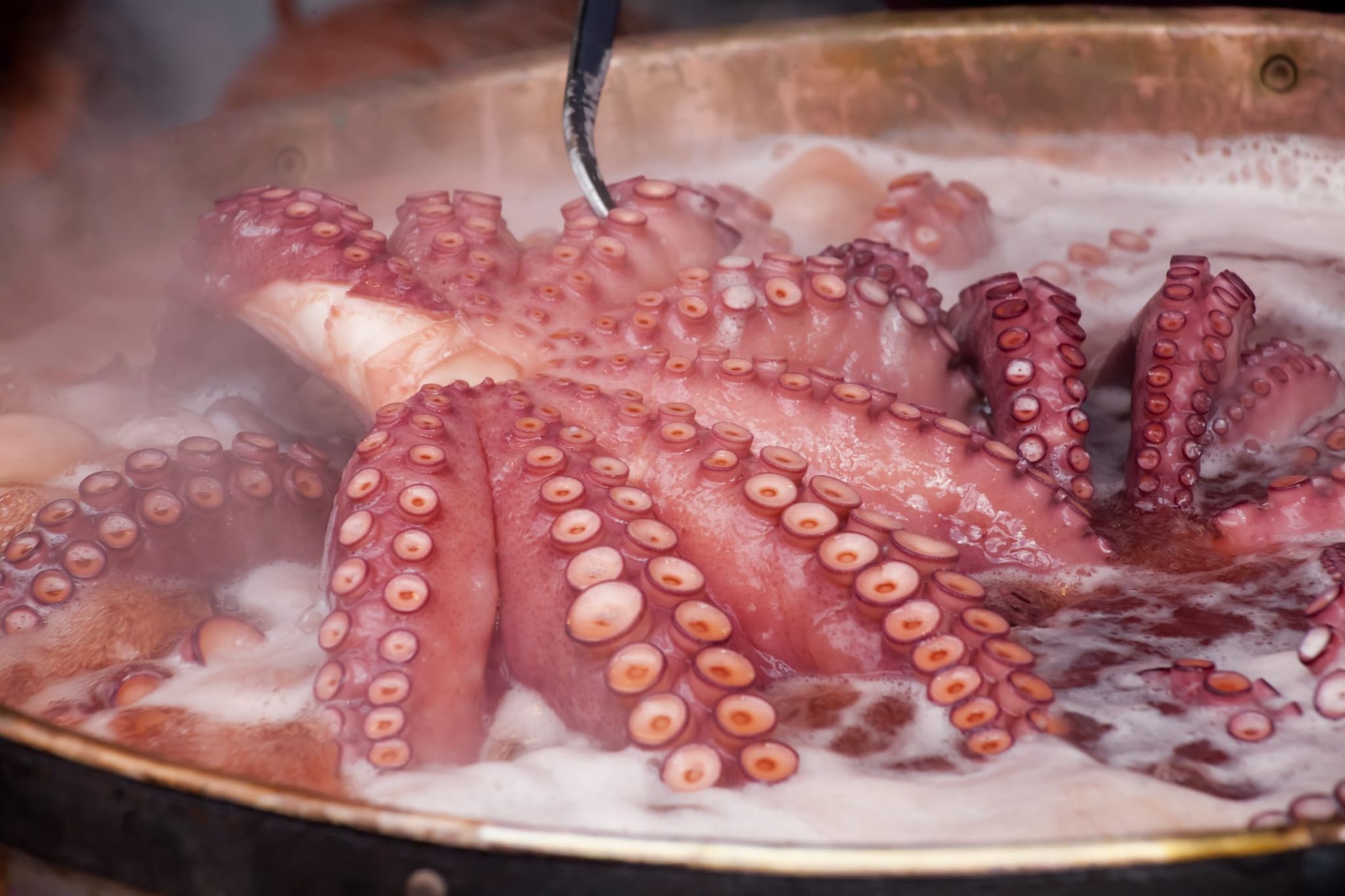 Everything You Need to Know Before Cooking Octopus