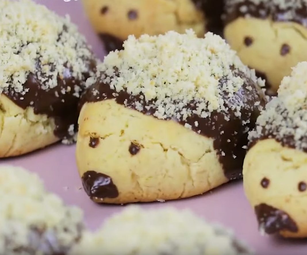 Hedgehog Cookie Recipe