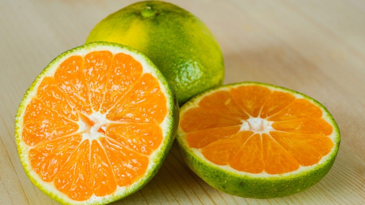 Everything You Need To Know About Mapos, Italy's Favorite Fruit