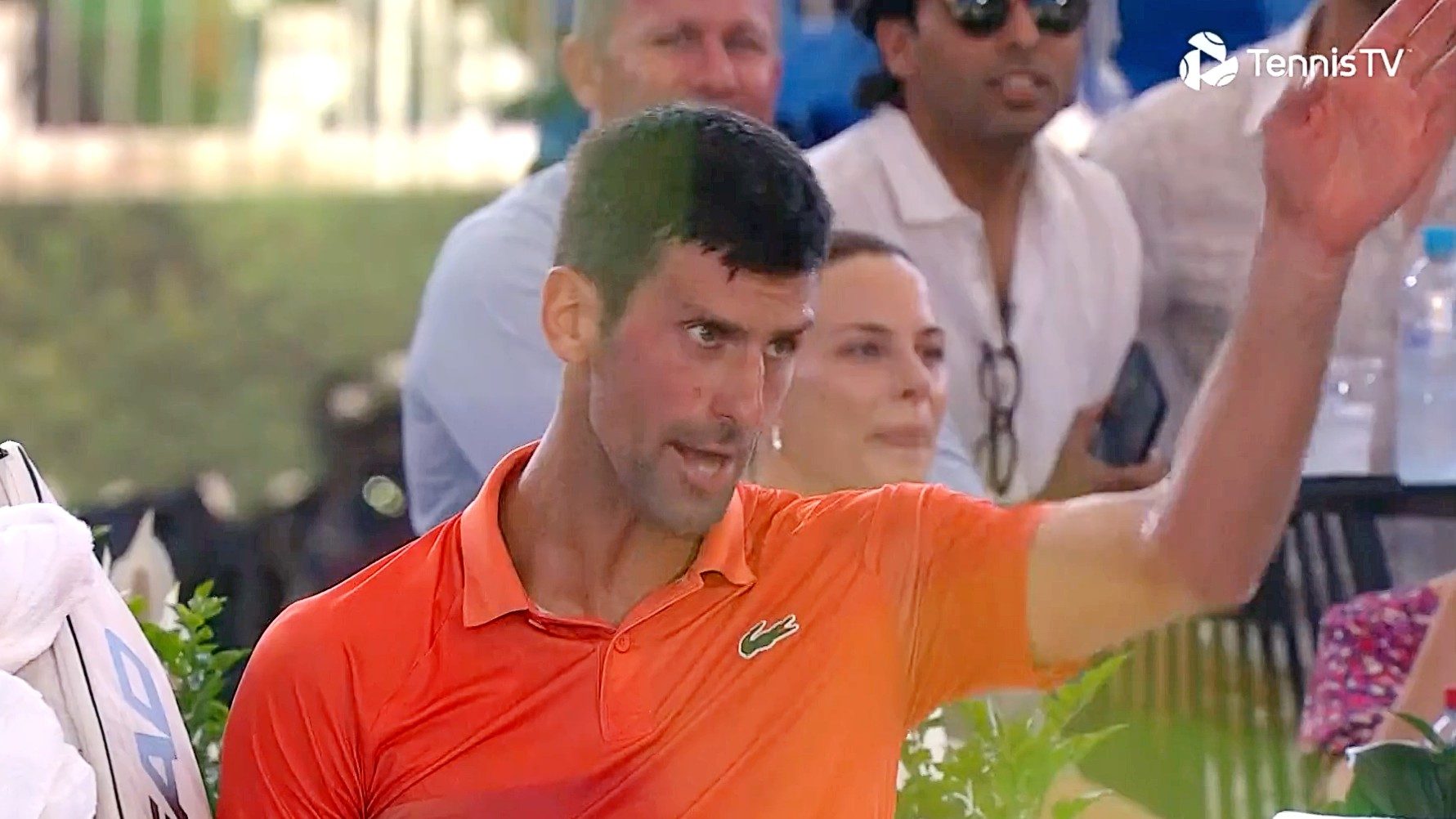 Perché Djokovic ha cacciato fratello e manager urlando in italiano ...