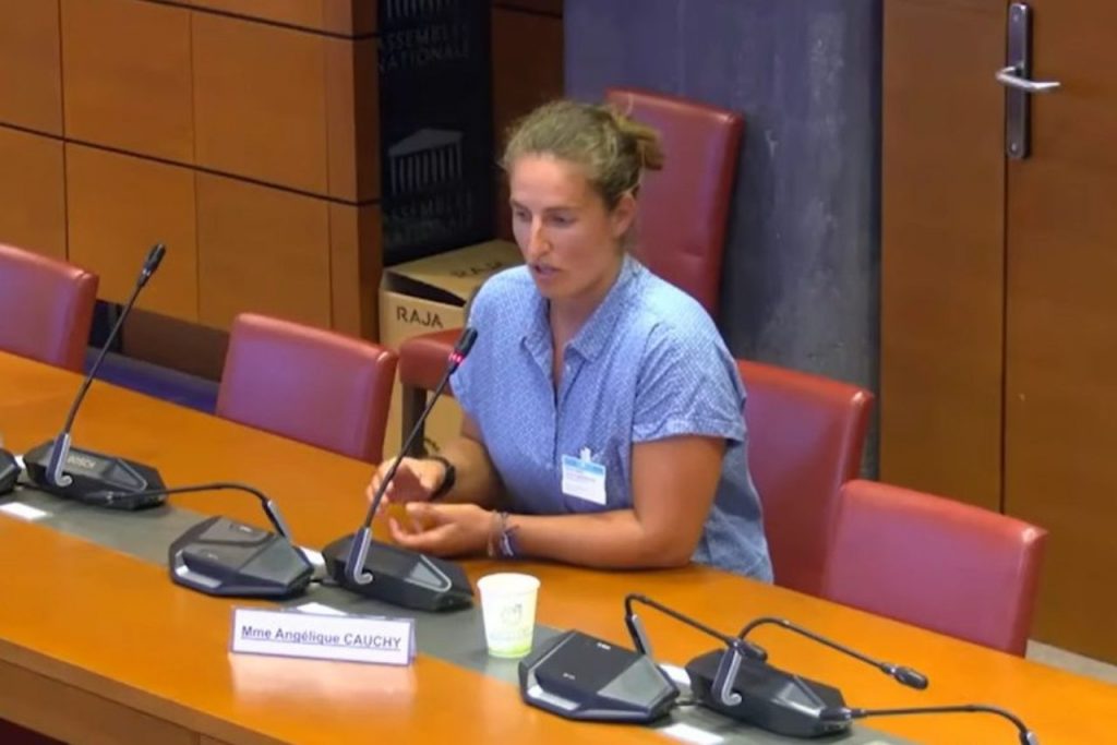 La testimonianza dell'ex tennista francese: "Violentata dal mio ...