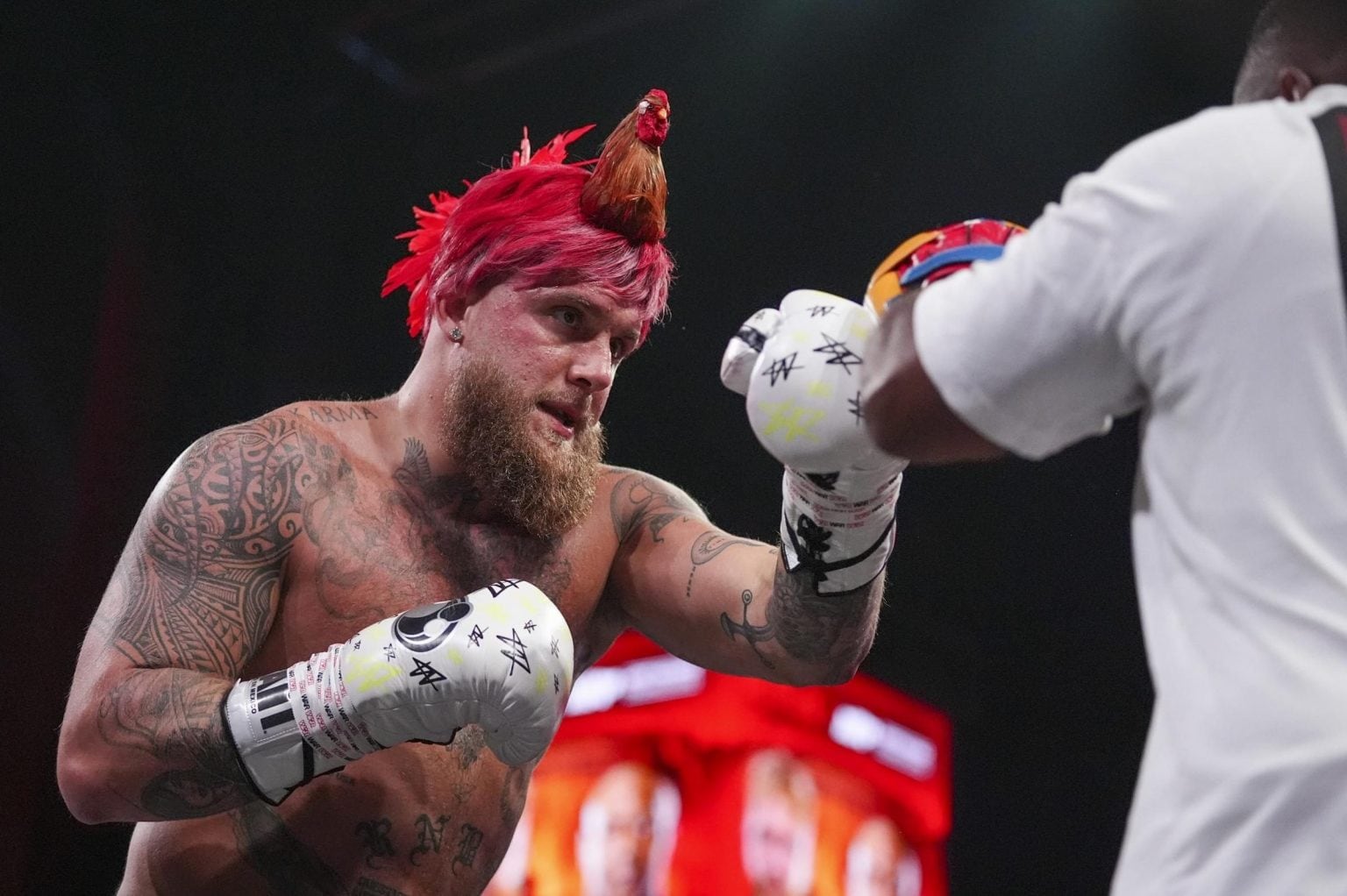 Chi è Jake Paul, ex YouTuber diventato pugile che ha osato sfidare Mike ...