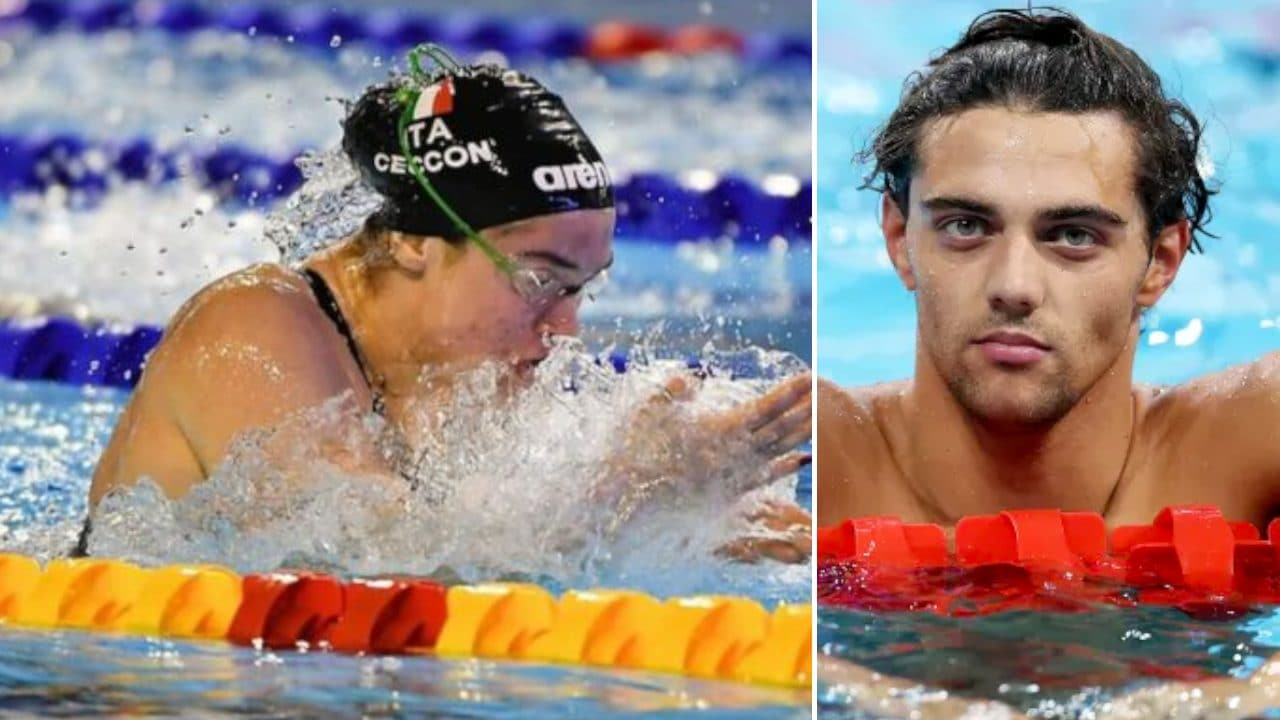 Ceccon attaccato per il furto di Pilato e Tarantino: colpa di un ...