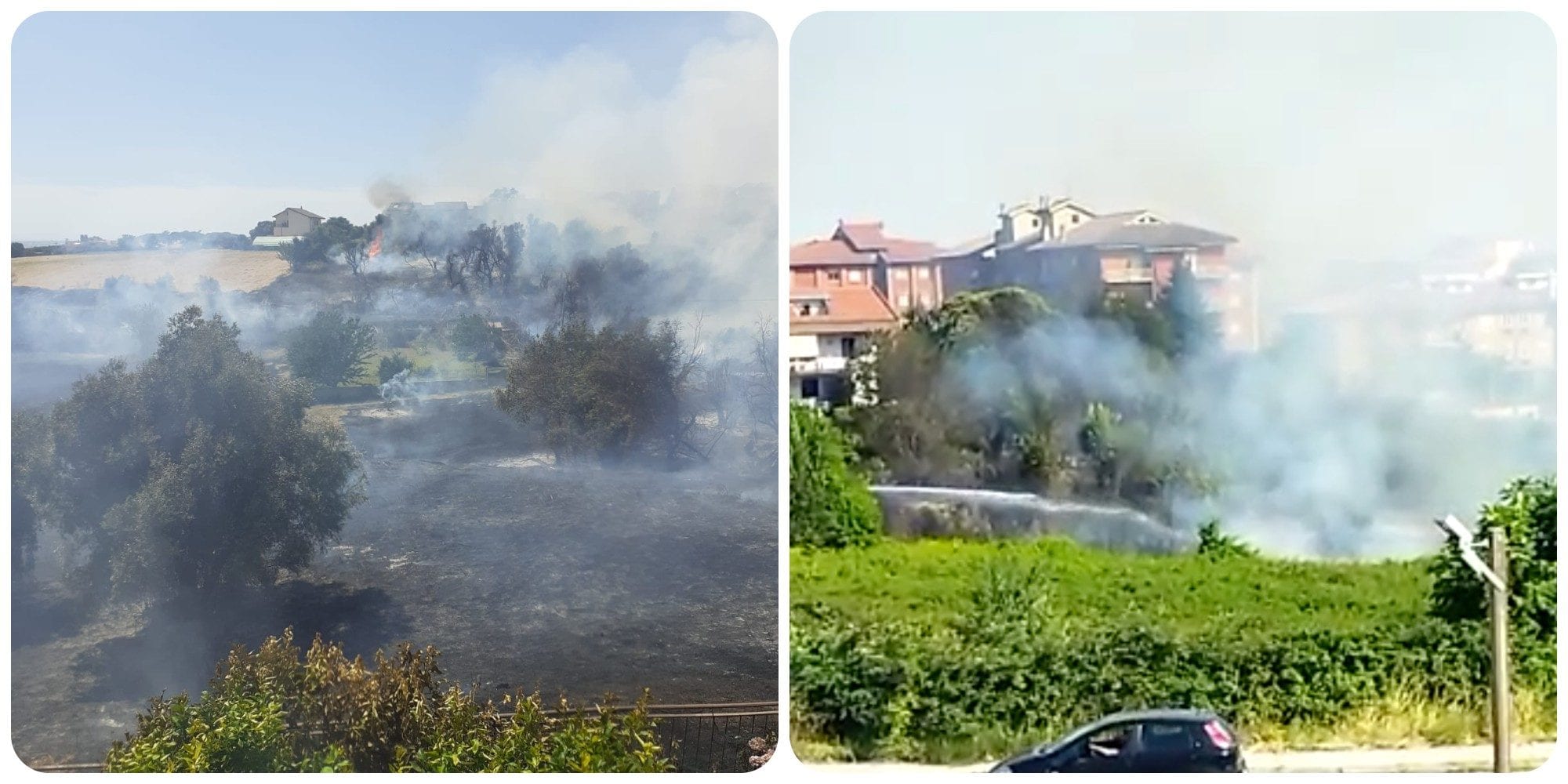 Incendi a Roma: oggi 120 roghi. Situazione più grave ora a Guidonia