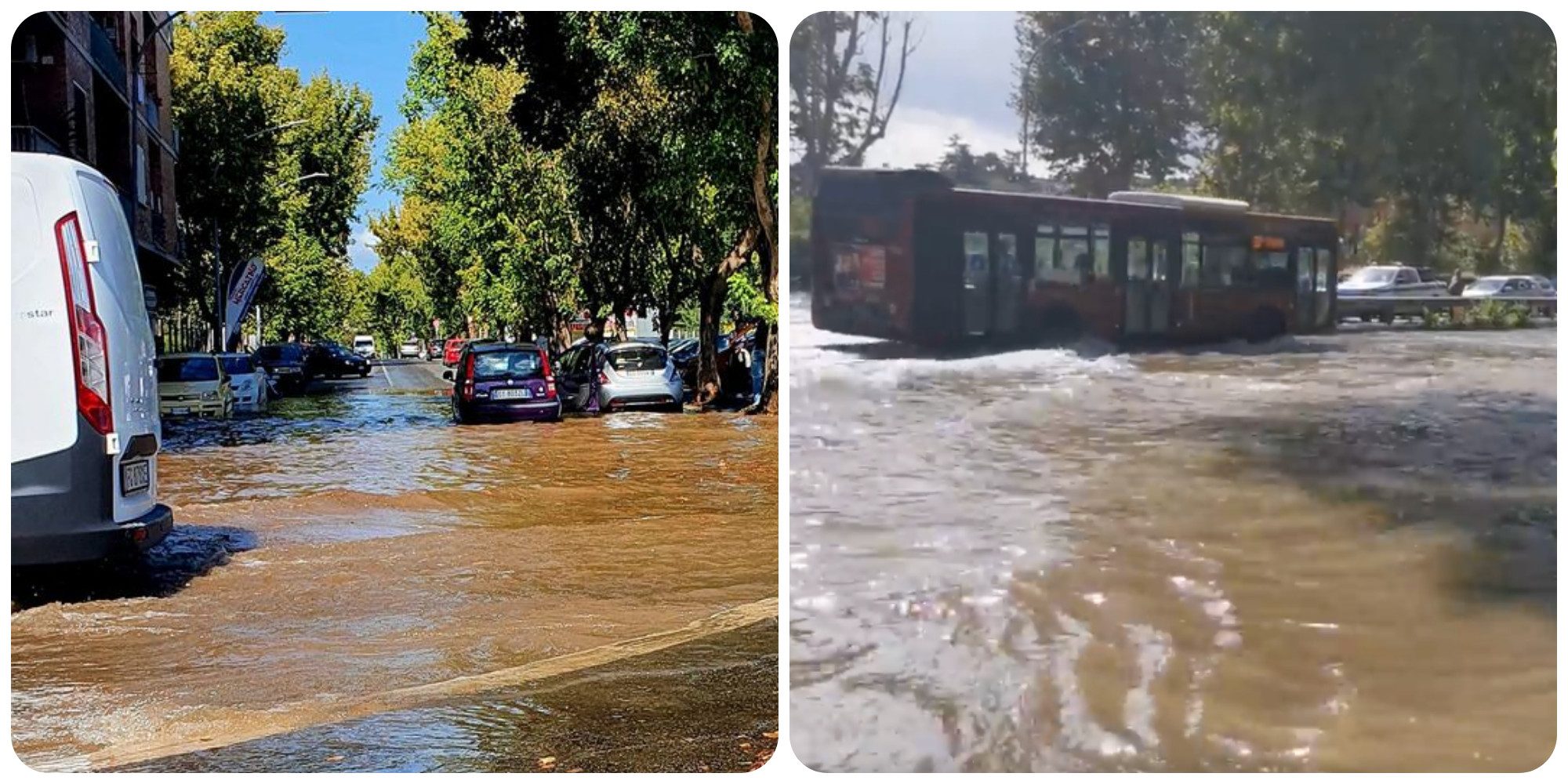 Montesacro allagata: viale Jonio diventa un fiume, acqua dentro ai negozi