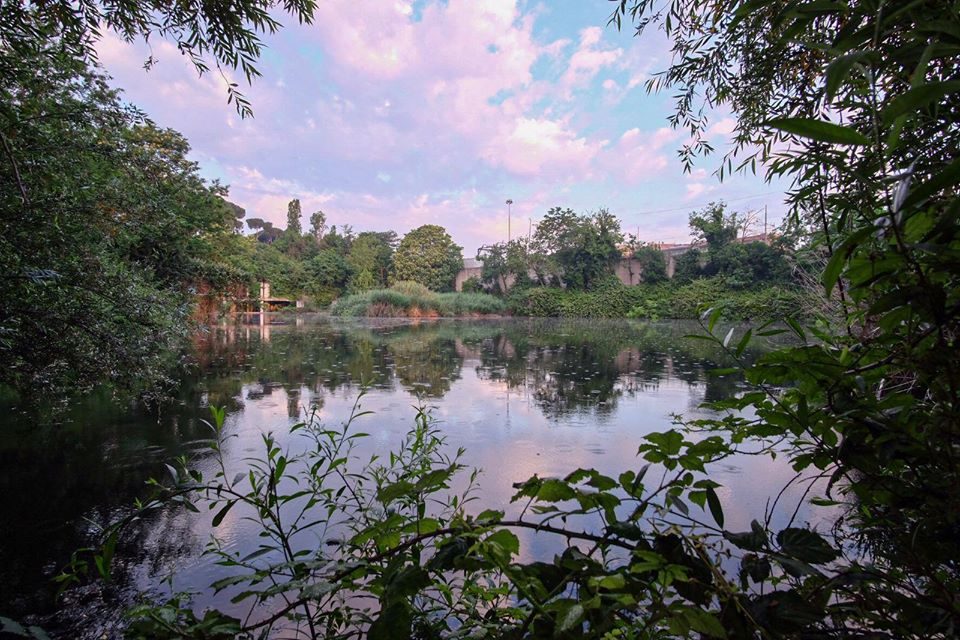 Lago ex Snia, il comune autorizza le ruspe e gli attivisti attaccano il ...