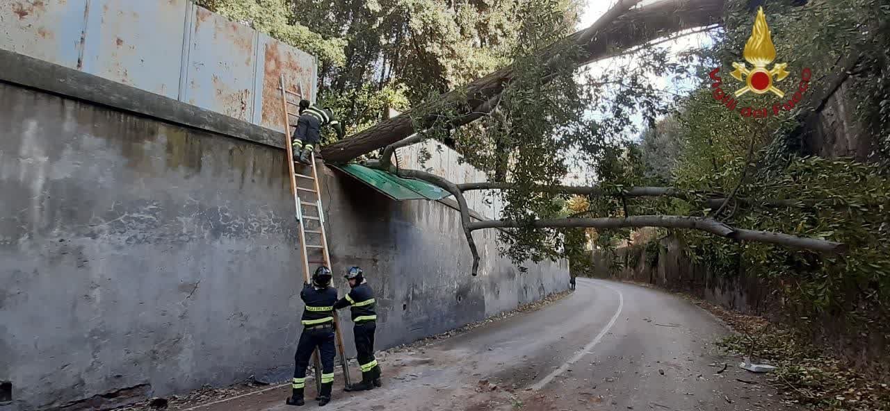 Via dei Coronari a Roma è entrata nella classifica delle 10 strade più ...