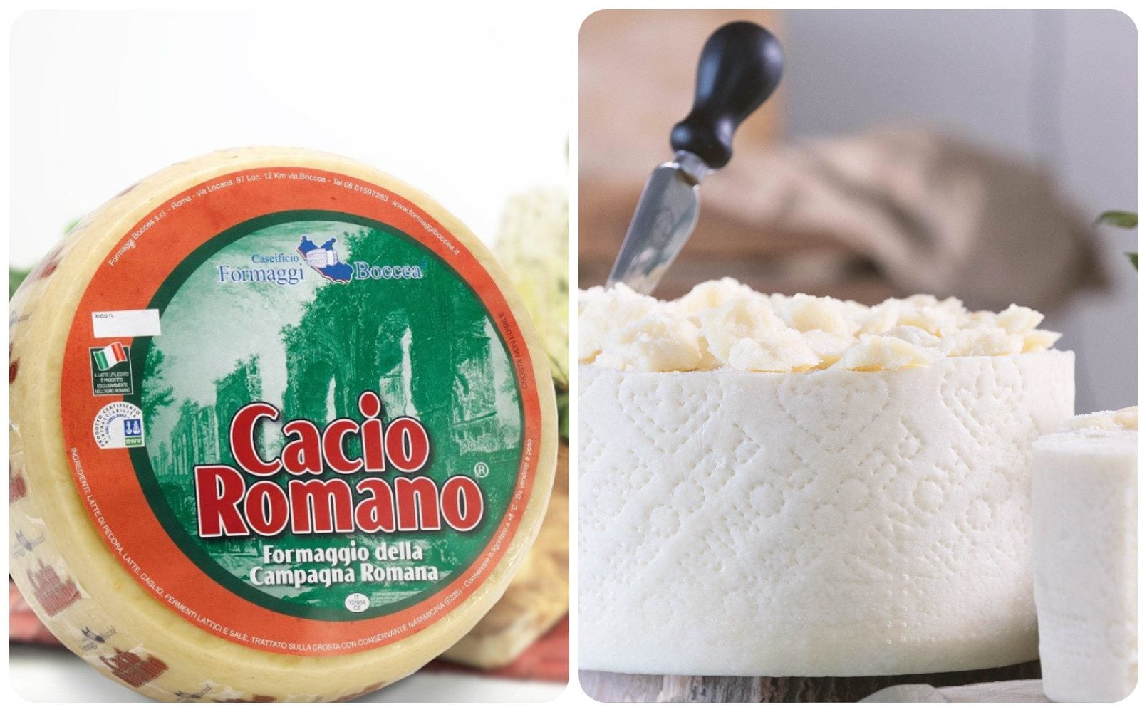 Il cacio romano vince la battaglia con il pecorino dop: non c'è rischio ...