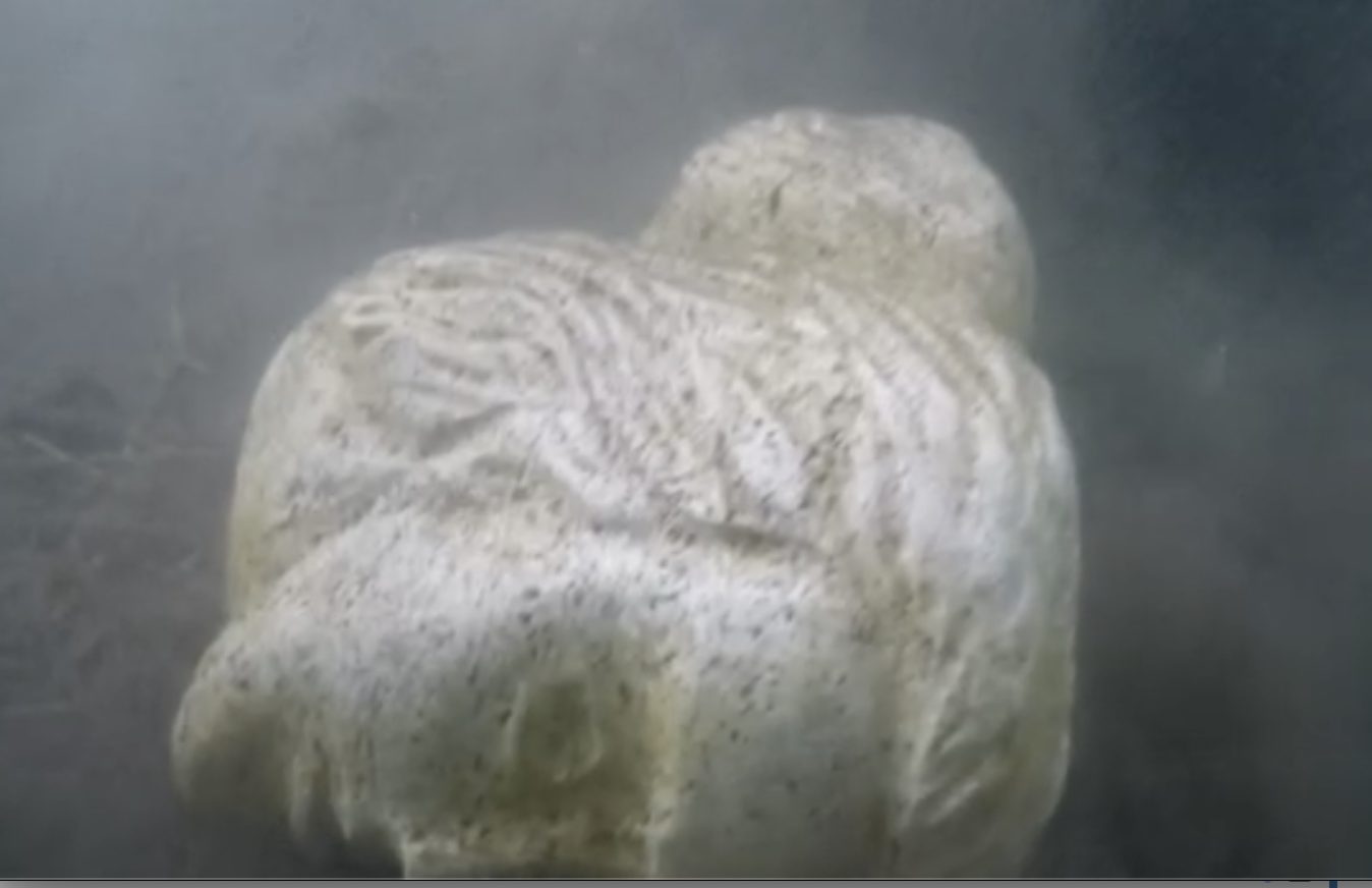 Sul fondale del lago di Nemi una misteriosa statua, forse proviene ...