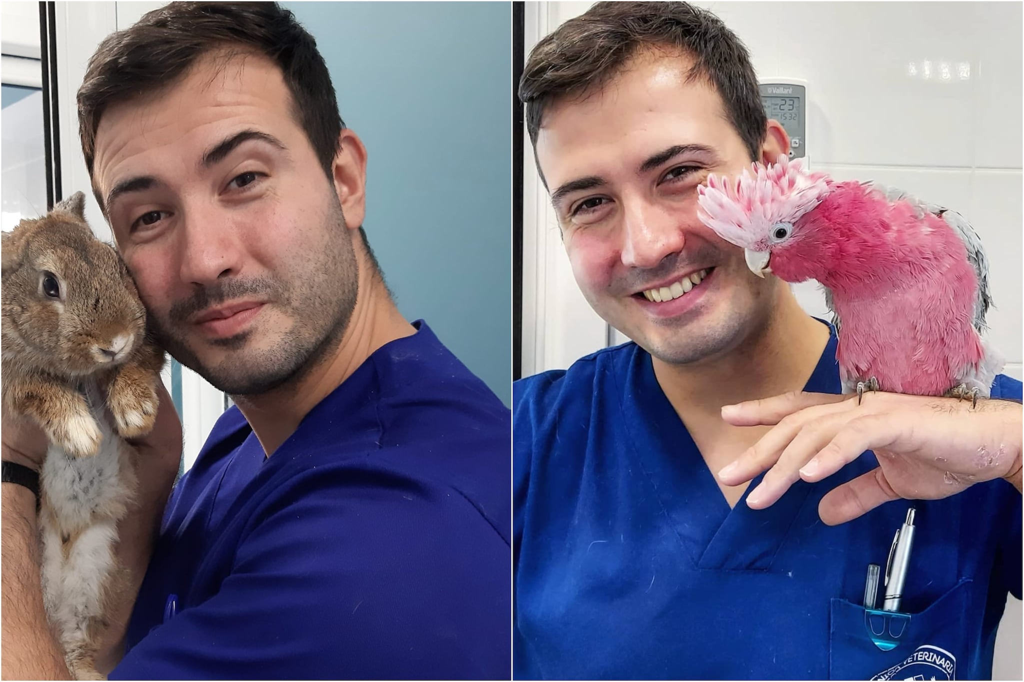 Morto Marco Petrini "DottorPet", il veterinario di Tivoli famoso sui ...