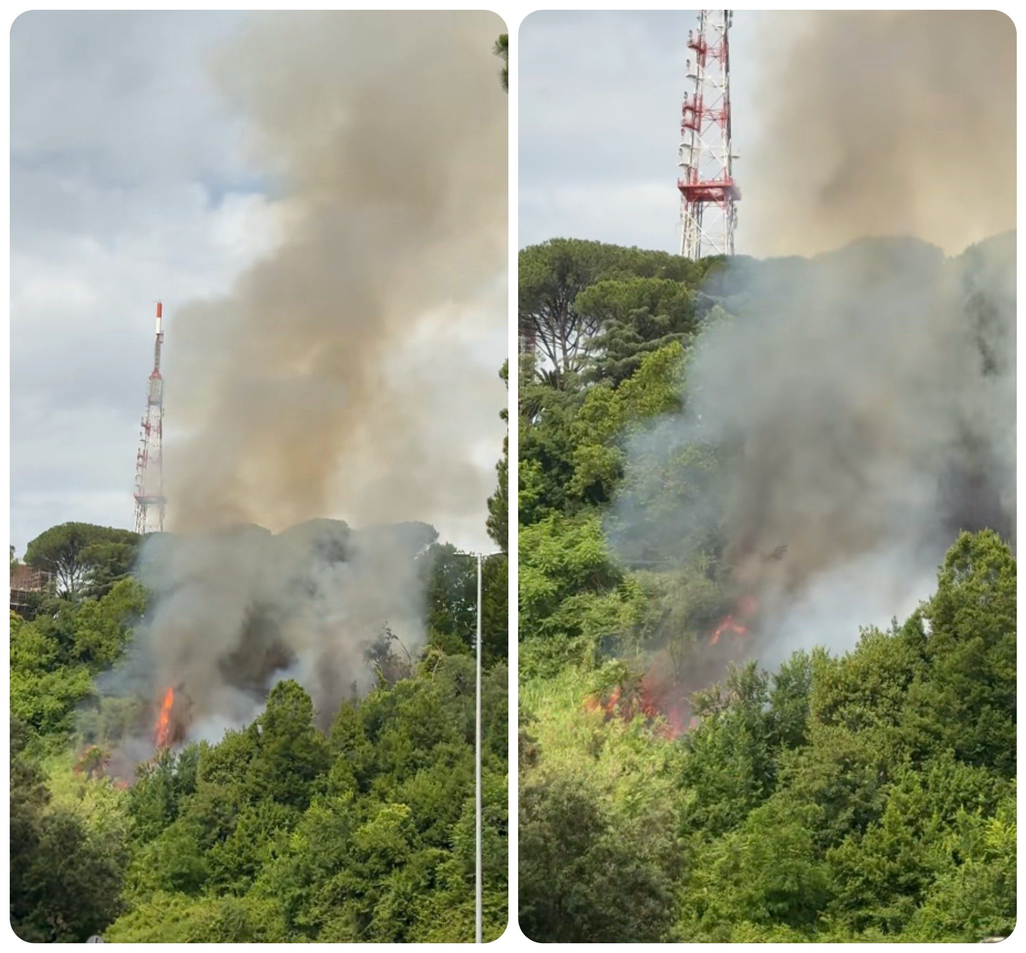 Incendio a Roma, brucia ancora Monte Mario: fumo nero visibile a chilometri