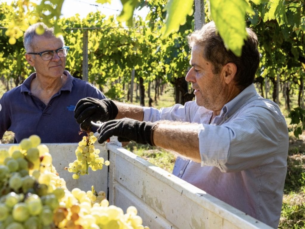 Come si vive a Santa Palomba, l'unico quartiere di Roma senza presidi ...