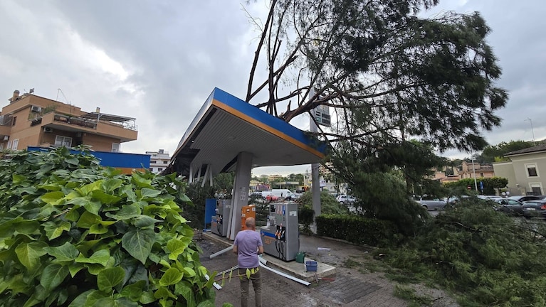 Maltempo a Roma, tromba d’aria colpisce la Capitale: alberi caduti e ...