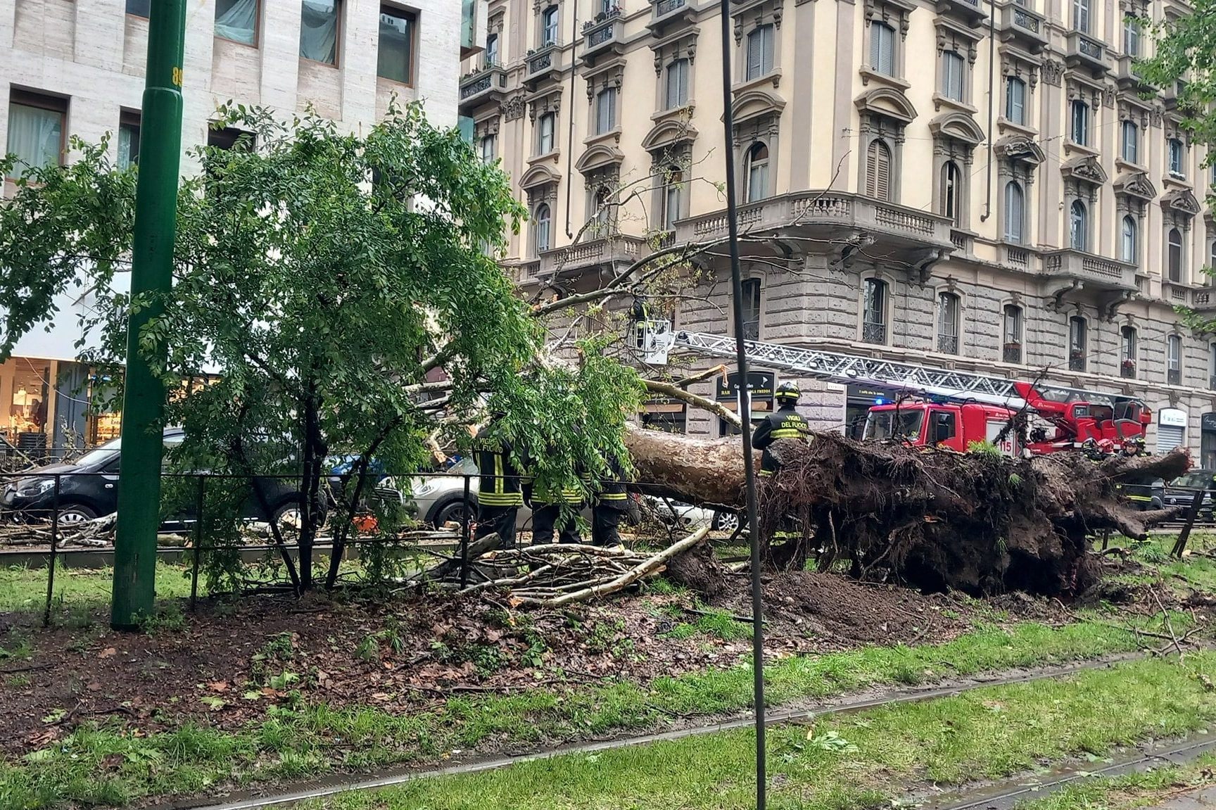 Albero cade per il vento sui binari del tram in viale Premuda a Milano ...