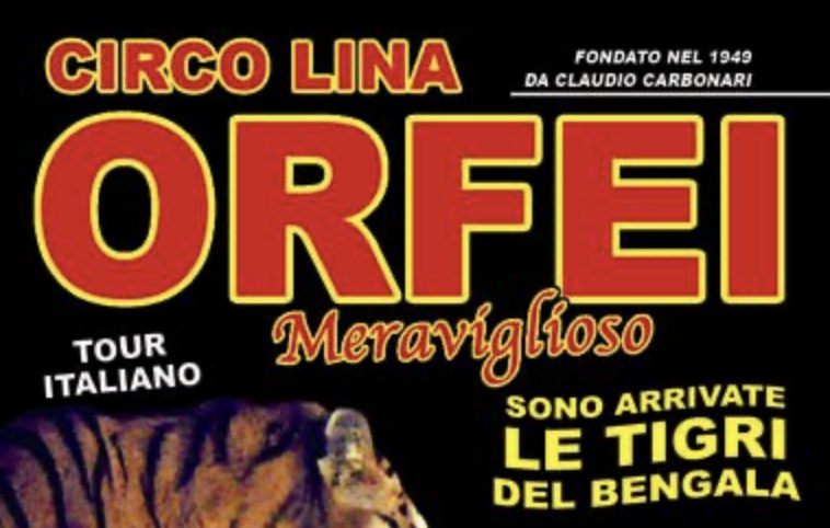 È morta Lina Orfei, storica trapezista nel circo del padre Amedeo: era ...