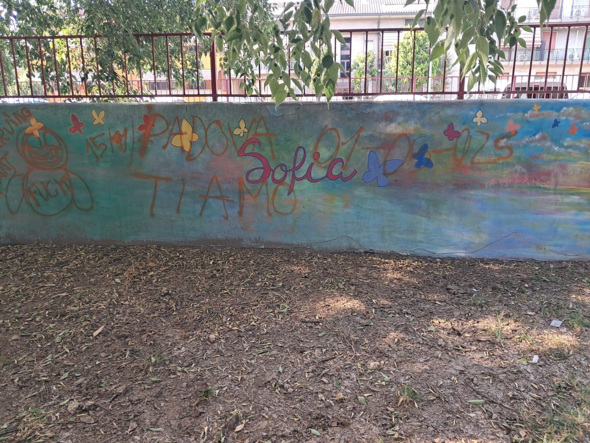 Vandalizzato il murales dipinto dopo il femminicidio di Sofia Castelli ...