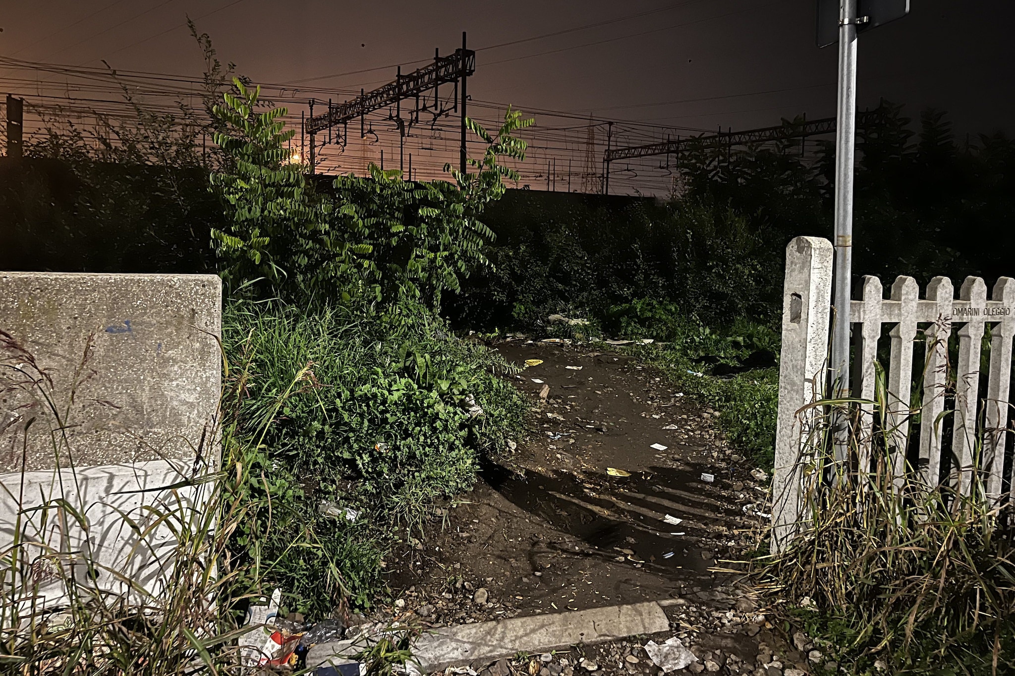 Siamo entrati nel "bosco della droga" di Rogoredo: ecco cosa abbiamo ...