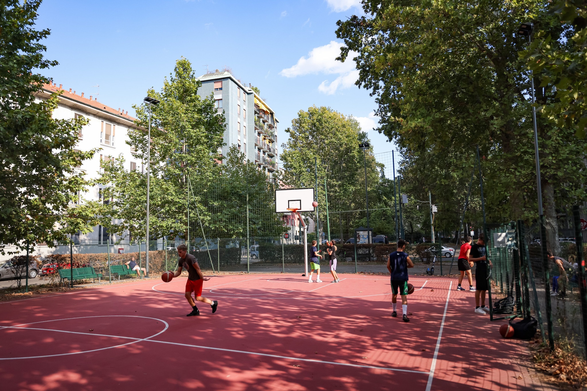 Mamma lascia un girasole per il figlio morto, qualcuno lo strappa e ...