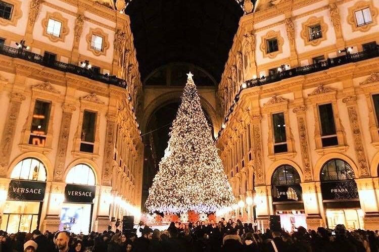 Si accende l'albero di Natale in Galleria a Milano: 36mila luci e la ...