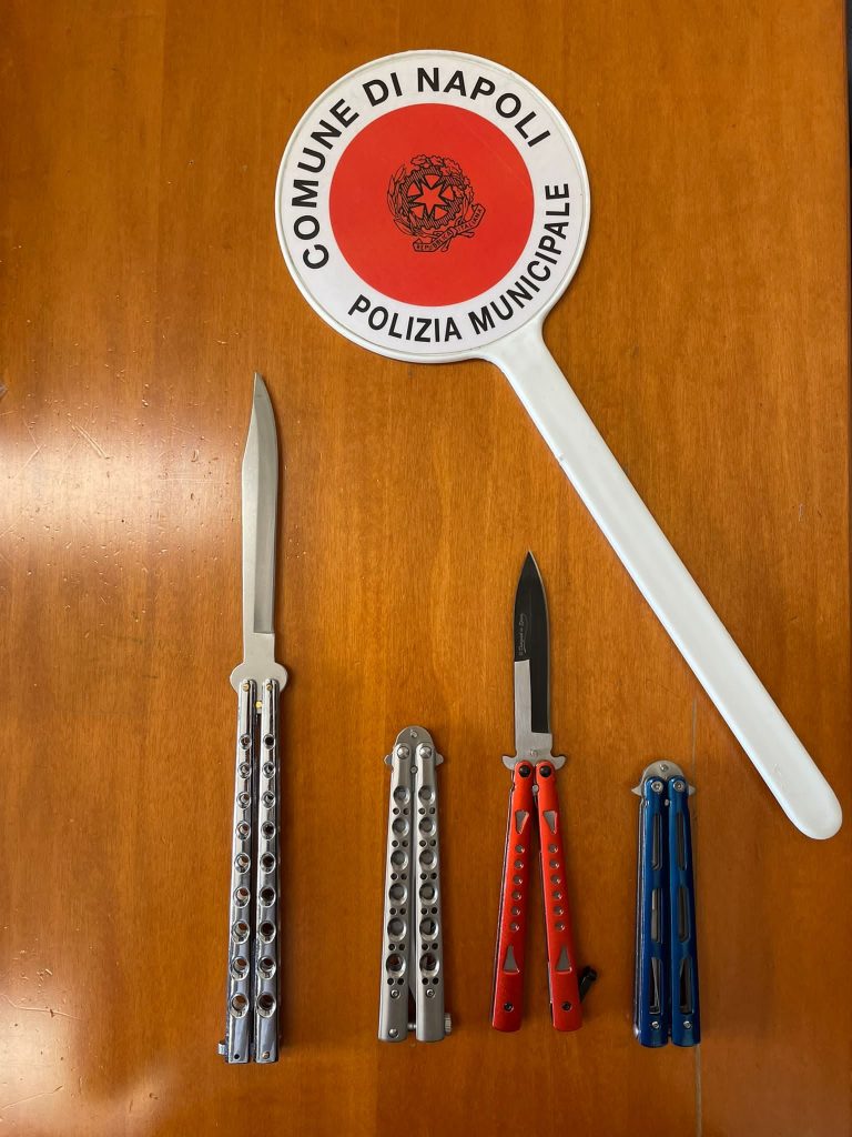 Coltelli e pugnali da combattimento venduti nel negozio di animali a ...