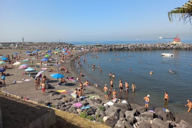 Squalo vacca ritrovato morto in spiaggia a Sapri, stupore e paura tra i ...