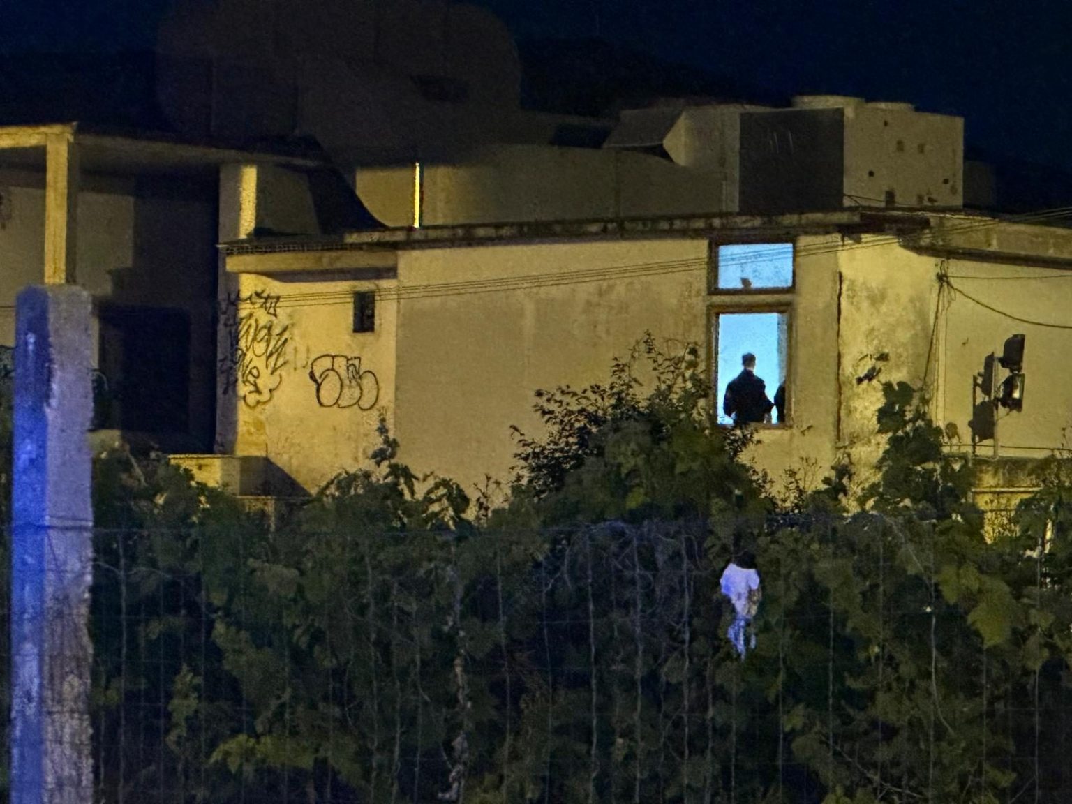 Trovata morta Martina Carbonaro, la 14enne scomparsa da Afragola: l'ex fidanzato ha confessato l ...