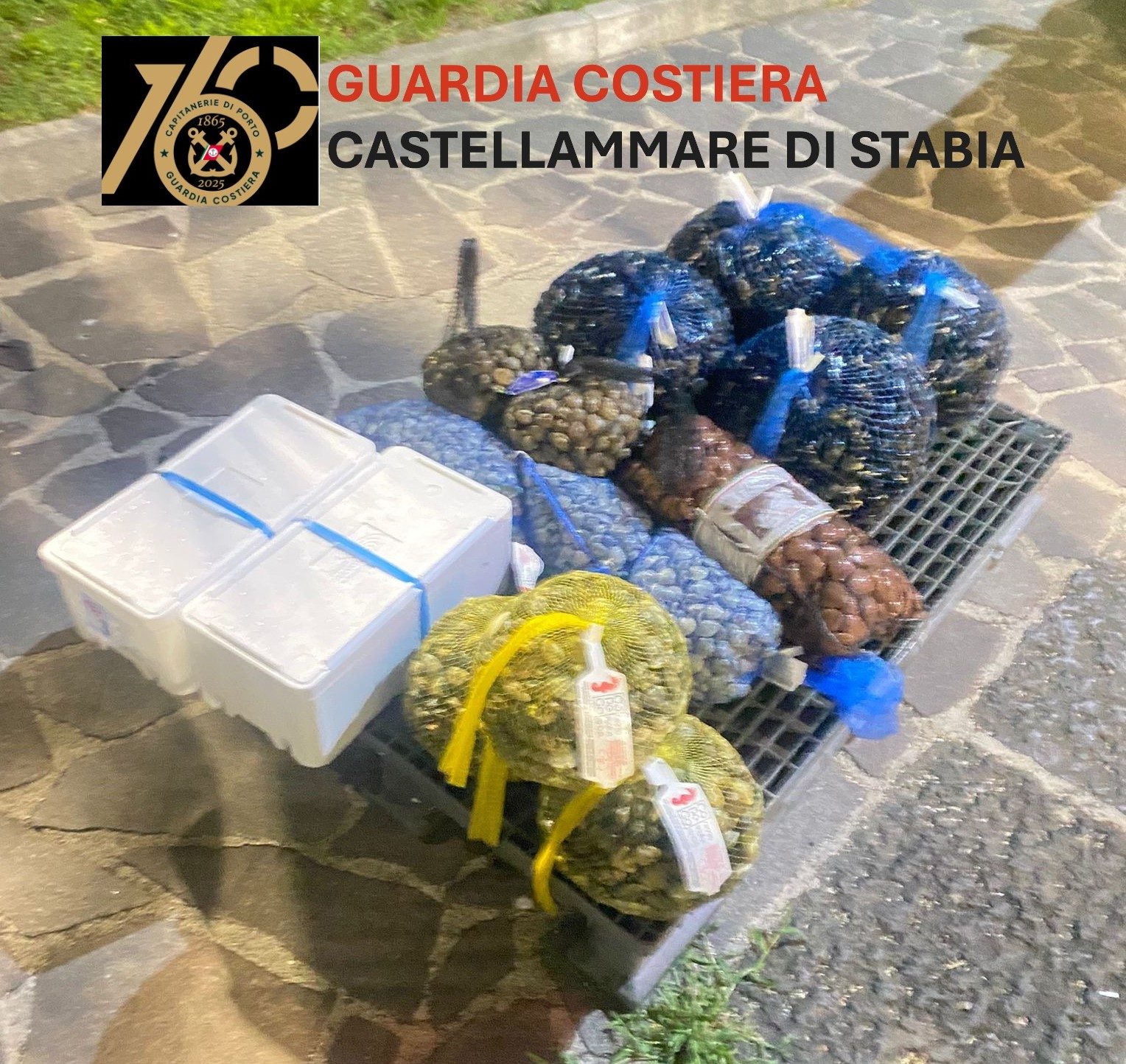 Frutti di mare senza provenienza trasportati in un furgone: sequestrati ...