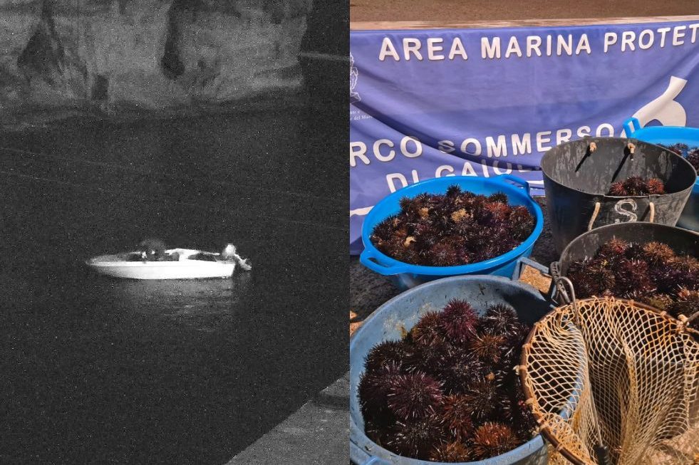 Bracconieri alla spiaggia della Gaiola rubano 1000 ricci di mare ...
