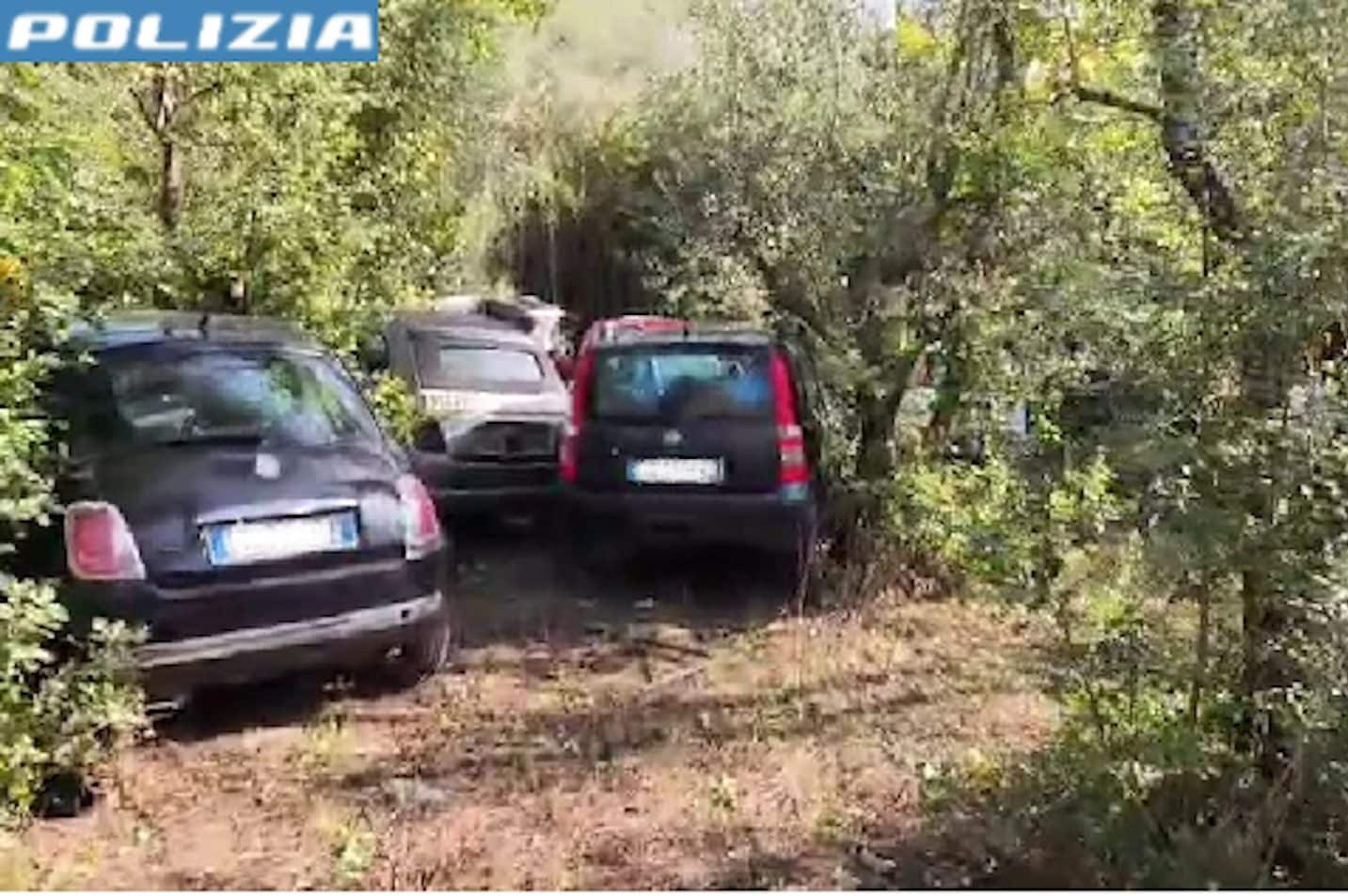 Nascosto nel bosco il deposito delle auto rubate: il ritrovamento a ...