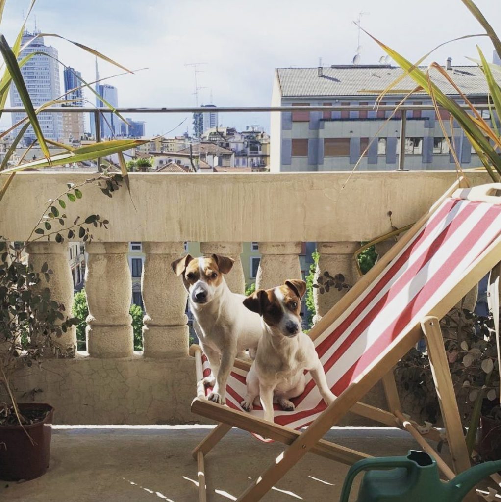 A casa di Paride Vitale, vincitore di Pechino Express 2022: "È stata l ...