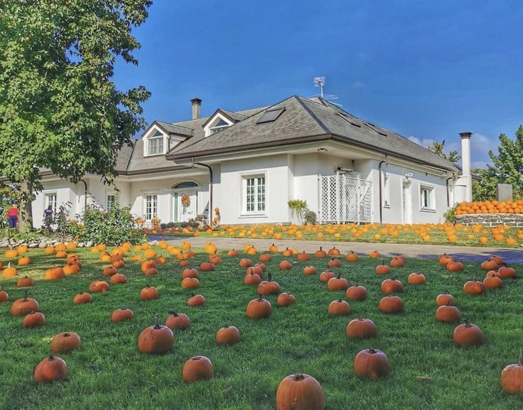 Dove si trova il giardino di zucche più grande d’Europa