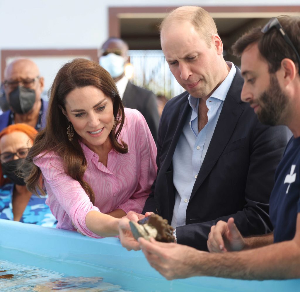 Kate e William, perché sono diventati virali con un vecchio video alle ...