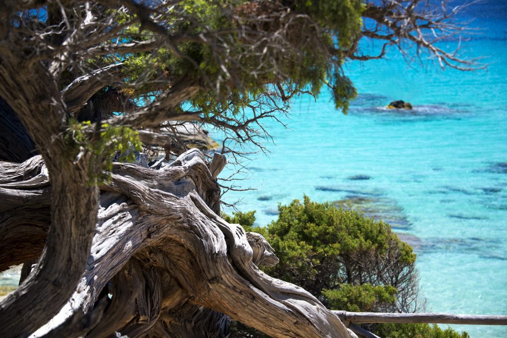 Le 15 spiagge più belle di Cagliari e dintorni