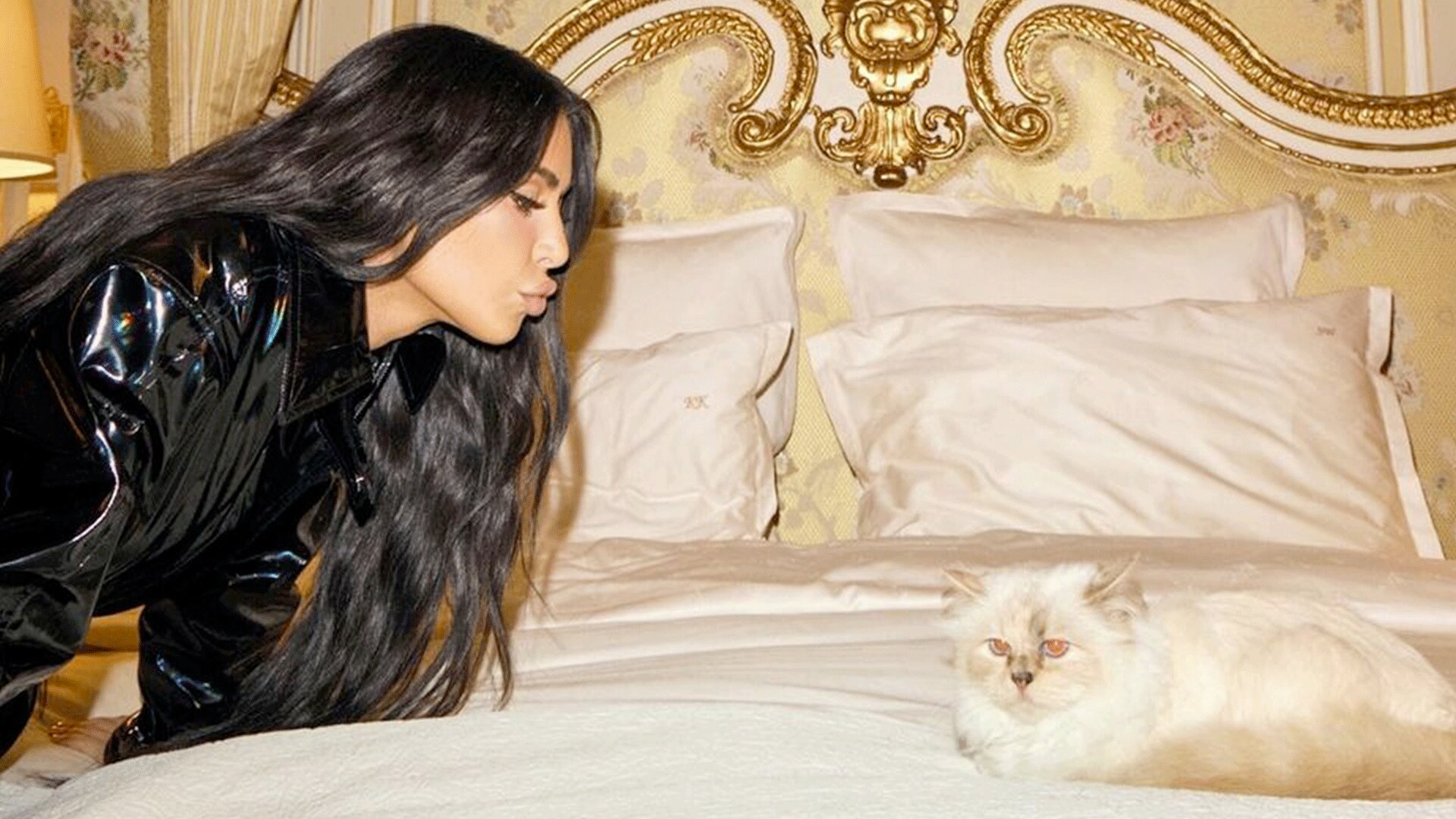 Kim Kardashian aggredita da un gatto (quello di Karl Lagerfeld), un ...