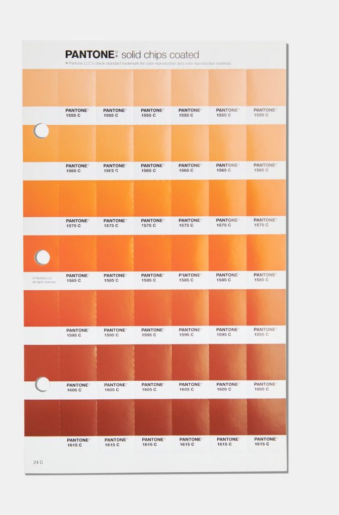 Il Peach Fuzz è il colore dell'anno 2024 secondo Pantone