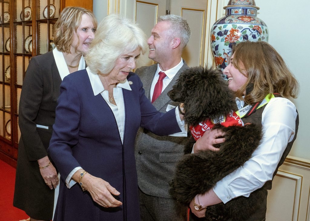 Perché la regina Camilla ha indossato una spilla con un cane disegnato