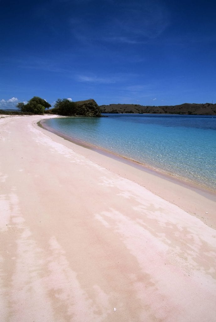 Dove si trovano le 6 spiagge rosa più belle in Italia e nel mondo