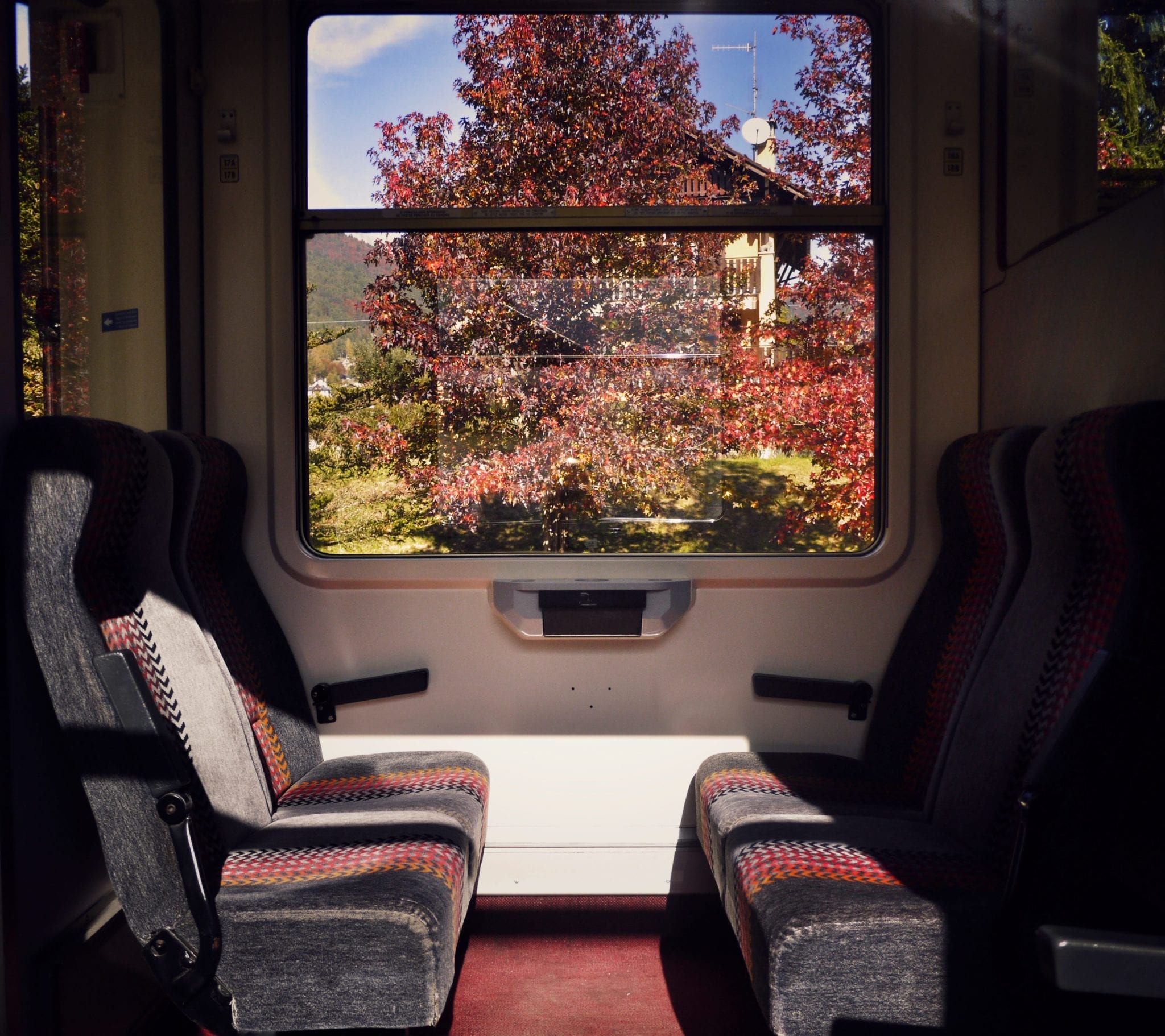 Treno del Foliage 2024: prezzi, orari, percorso e come prenotare il biglietto per il viaggio ...