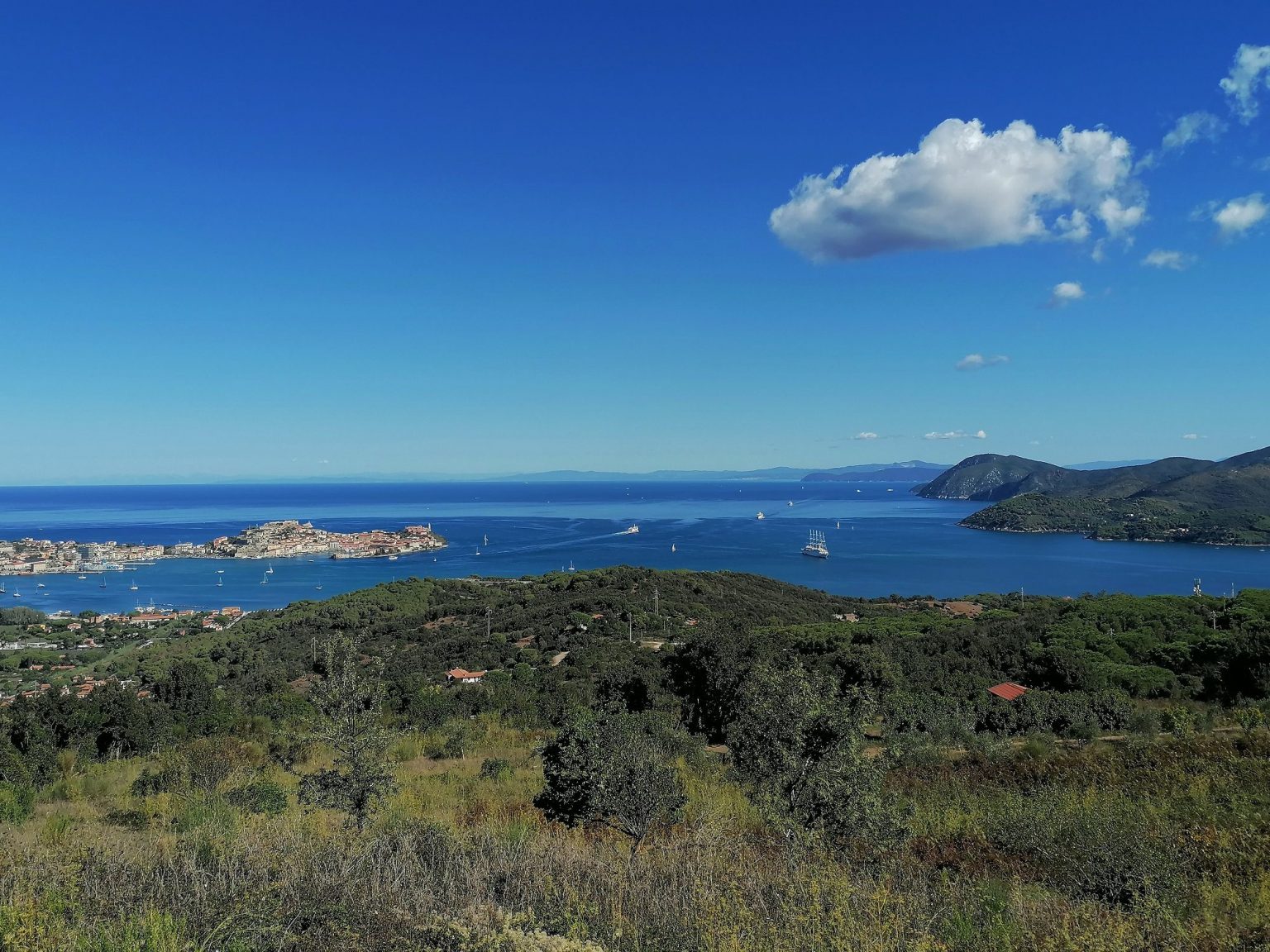 Sagre, fiere ed eventi nel weekend dal 9 all'11 maggio: cosa fare ...