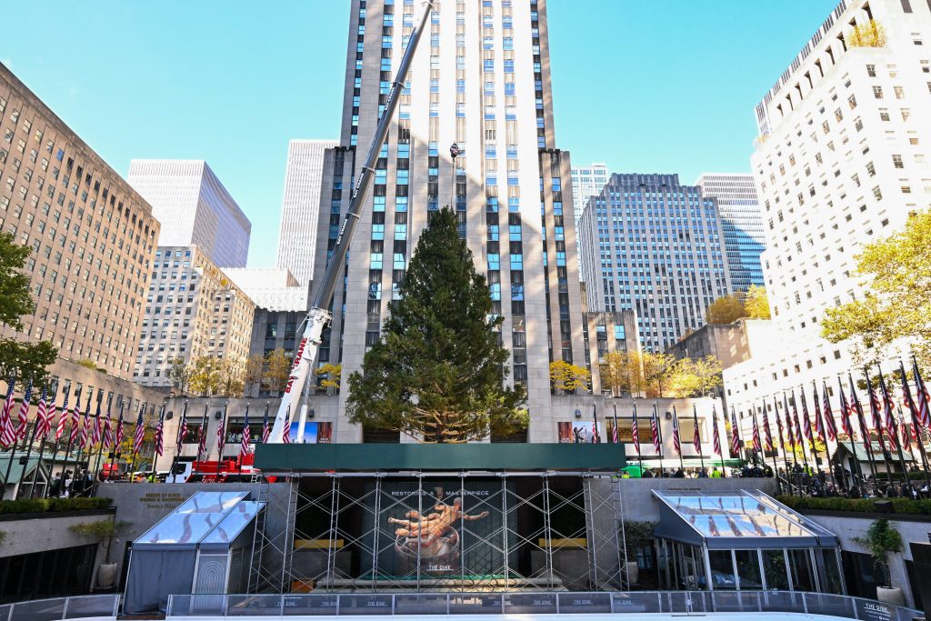 L'albero di Natale al Rockefeller Center ha una storia commovente: ricorda una persona che non c ...