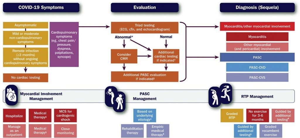 I sintomi cardiovascolari del Long Covid sono una nuova malattia: cos'è ...