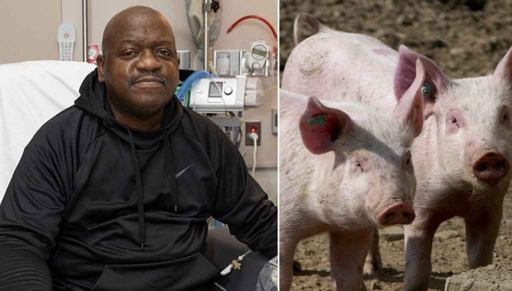 Addio insulina tutti i giorni, basta una volta alla settimana con nuova molecola: "Svolta epocale"