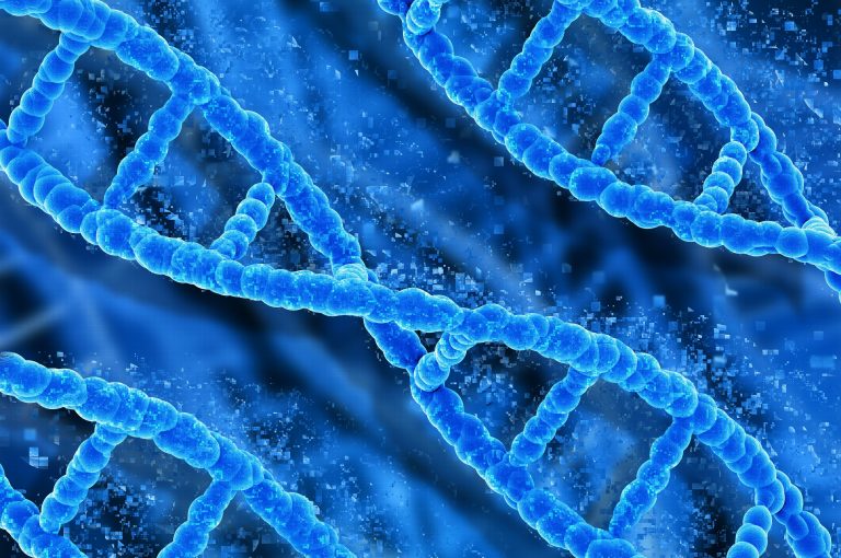 Cancro della pelle: quali sono i segni che distinguono un melanoma da ...